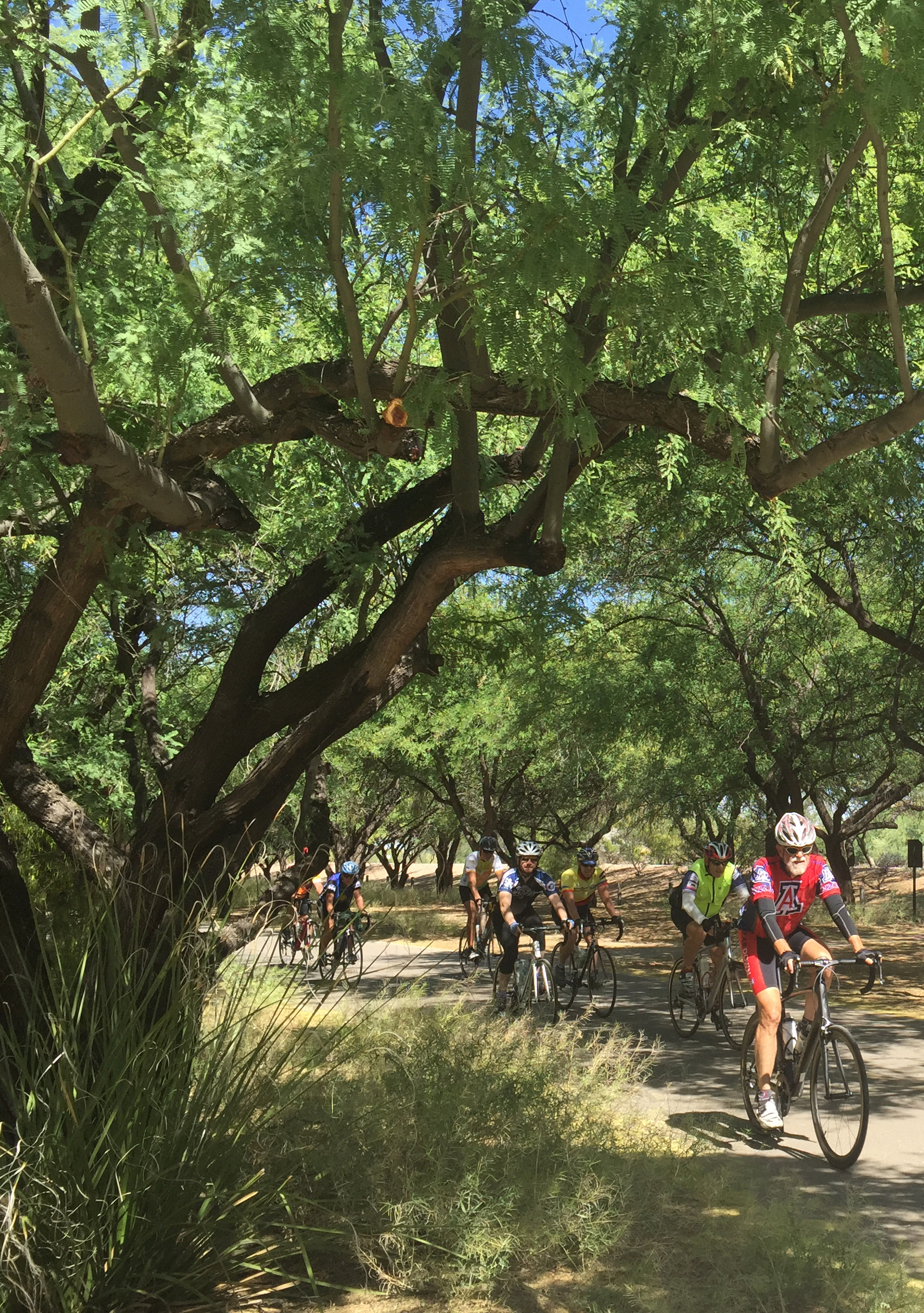 Linear Parks & Trails - McGann & Associates